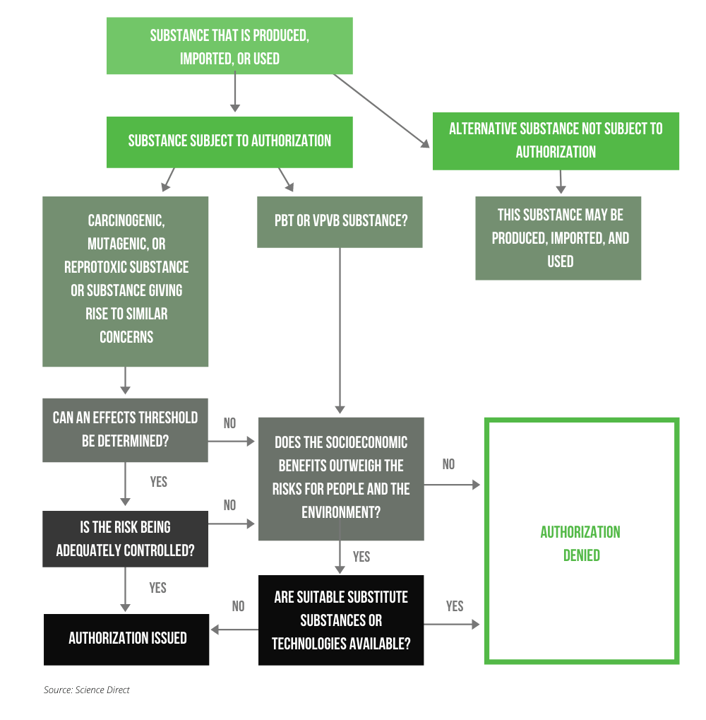 EU REACH: What Cosmetics Companies Need to Know